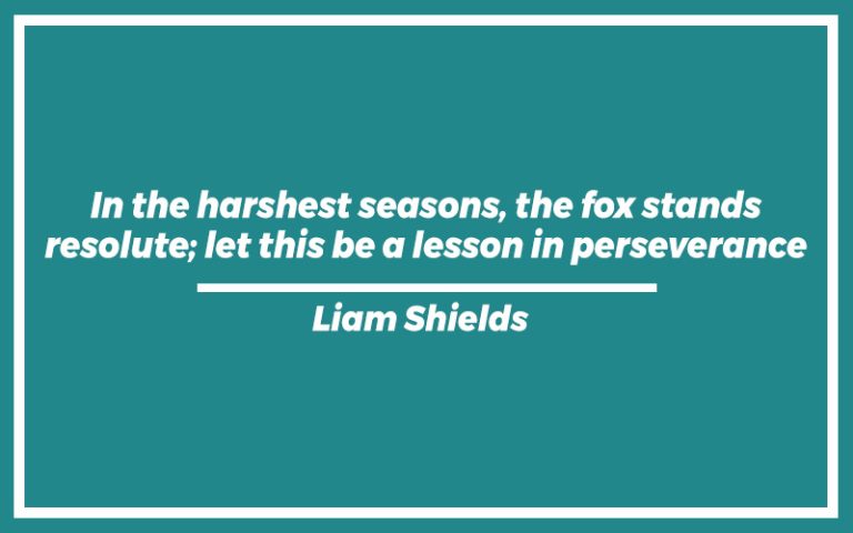 151 Best Fox Quotes (with Commentary) - Burning For Success