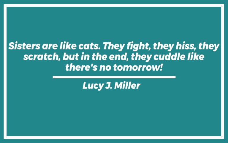 151 Best Funny Quotes About Sisters Fighting (with Commentary ...