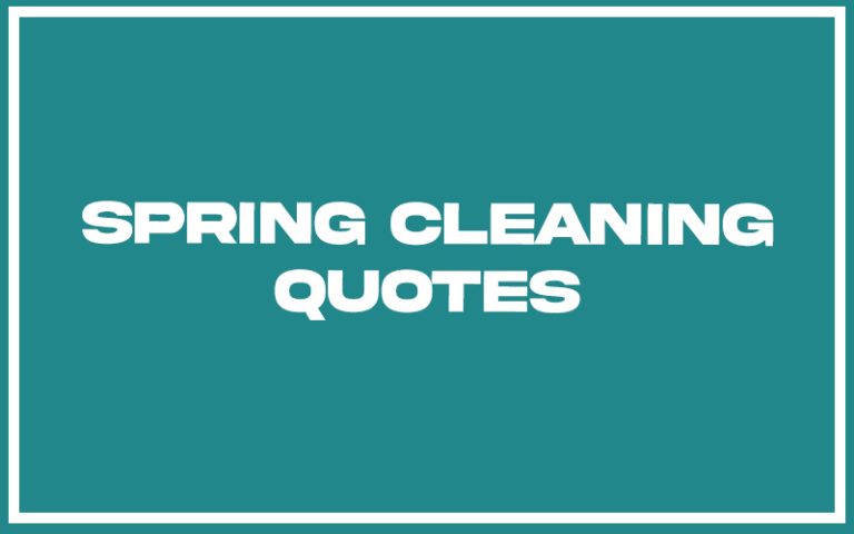 151 Best Spring Cleaning Quotes (with Commentary) - Burning For Success