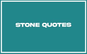 151 Best Stone Quotes (with Commentary) - Burning For Success
