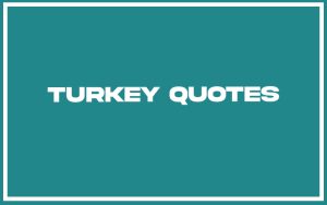 151 Best Turkey Quotes (with Commentary) - Burning For Success