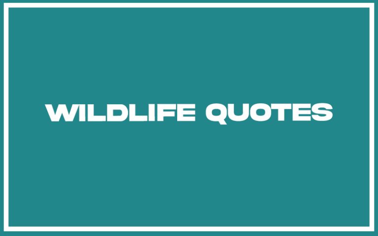 151 Best Wildlife Quotes (with Commentary) - Burning For Success