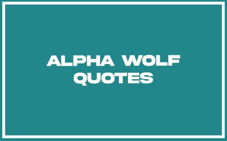151 Best Alpha Wolf Quotes (with Commentary) - Burning For Success