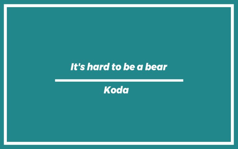 151 Best Brother Bear Quotes (with Commentary) - Burning For Success
