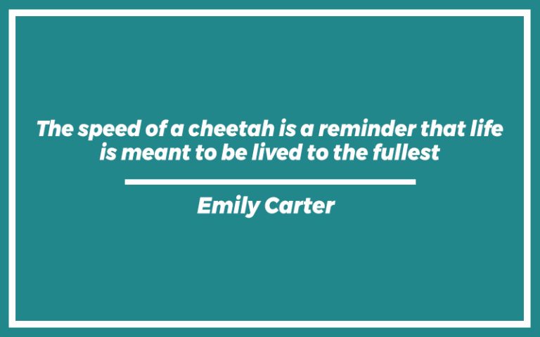 151 Best Cheetah Quotes (with Commentary) - Burning For Success
