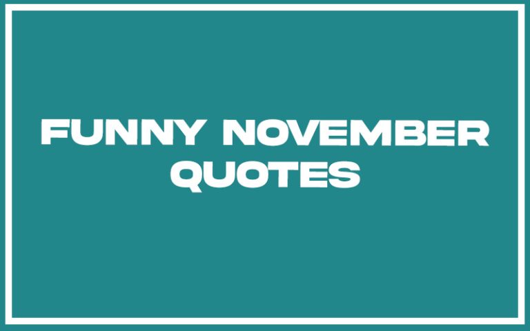 151 Best Funny November Quotes (with Commentary) - Burning For Success