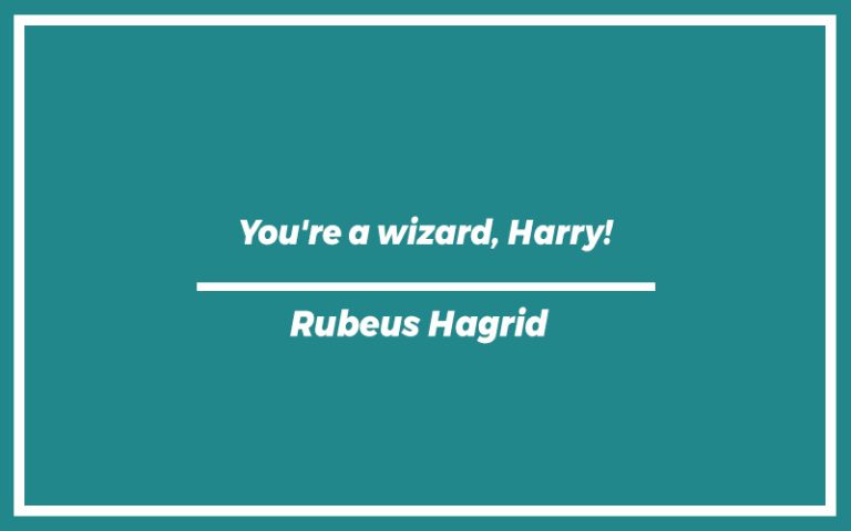 151 Best Hagrid Quotes (with Commentary) - Burning For Success