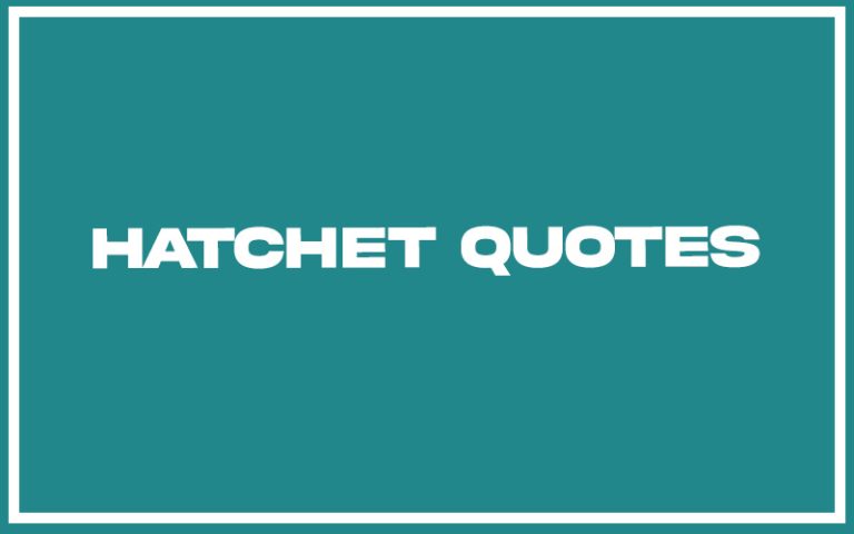 151 Best Hatchet Quotes (with Commentary) - Burning For Success