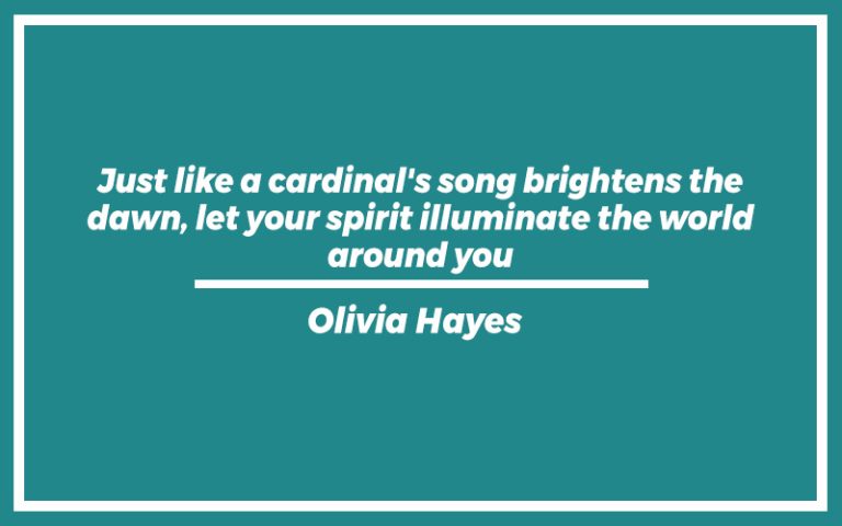 151 Best Inspirational Cardinal Quotes (with Commentary) - Burning For ...
