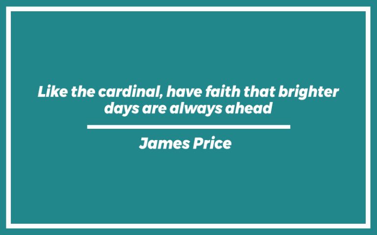 151 Best Inspirational Cardinal Quotes (with Commentary) - Burning For ...
