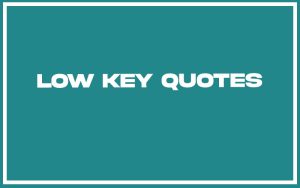 151 Best Low Key Quotes (with Commentary) - Burning For Success