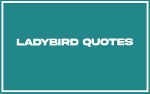 151 Best Lady Bird Quotes (with Commentary) - Burning For Success