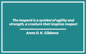 151 Best Leopard Quotes (with Commentary) - Burning For Success