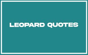 151 Best Leopard Quotes (with Commentary) - Burning For Success