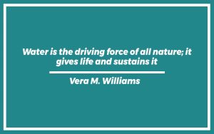 151 Best A Long Walk To Water Quotes (with Commentary) - Burning For ...