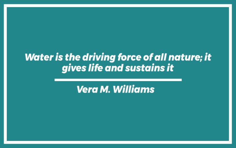 151 Best A Long Walk To Water Quotes (with Commentary) - Burning For ...