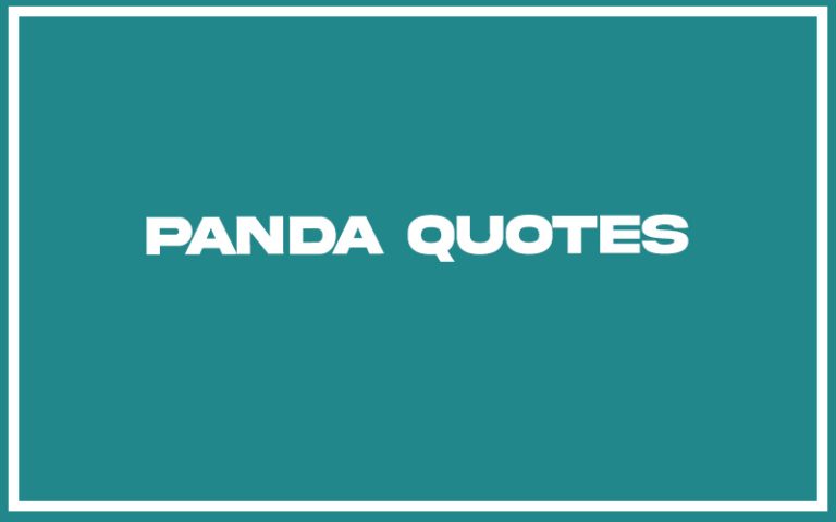 151 Best Panda Quotes (with Commentary) - Burning For Success