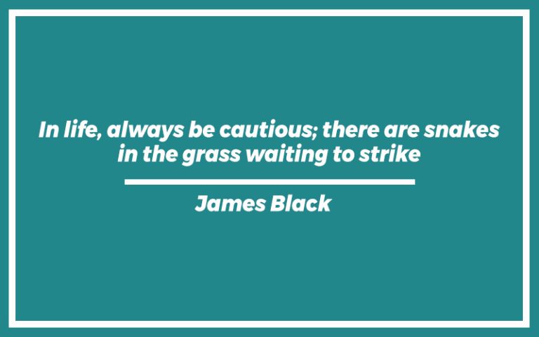 151 Best Snakes In The Grass Quotes (with Commentary) - Burning For Success
