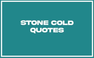 151 Best Stone Cold Quotes (with Commentary) - Burning For Success