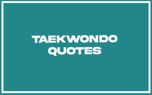 151 Best Taekwondo Quotes (with Commentary) - Burning For Success