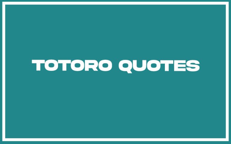 151 Best Totoro Quotes (with Commentary) - Burning For Success