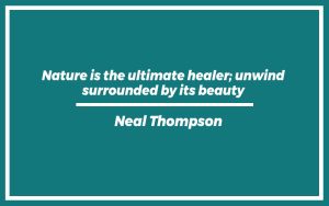 151 Best Unwind By Neal Quotes (with Commentary) - Burning For Success