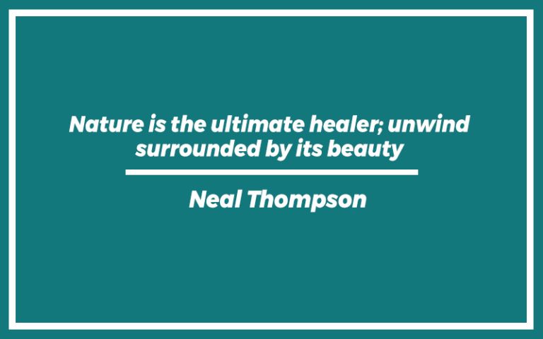 151 Best Unwind By Neal Quotes (with Commentary) - Burning For Success