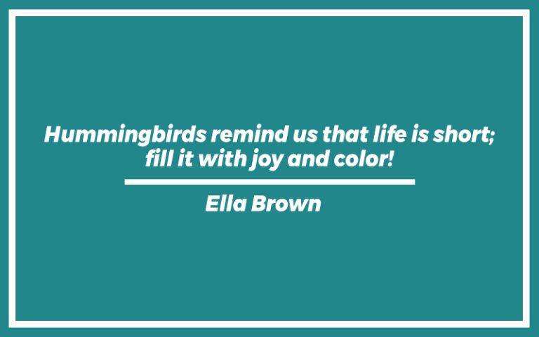 151 Best Uplifting Hummingbird Quotes (with Commentary) - Burning For ...