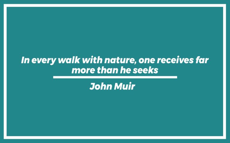 151 Best National Park Quotes (with Commentary) - Burning For Success