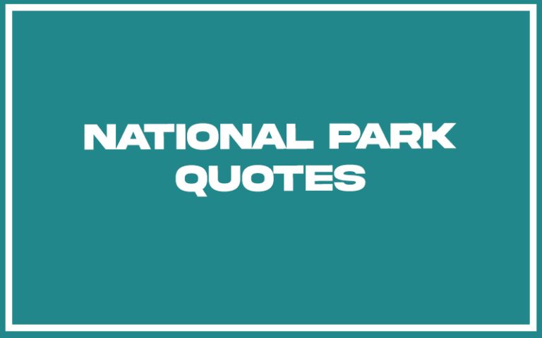 151 Best National Park Quotes (with Commentary) - Burning For Success