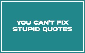 151 Best You Can't Fix Stupid Quotes (with Commentary) - Burning For ...