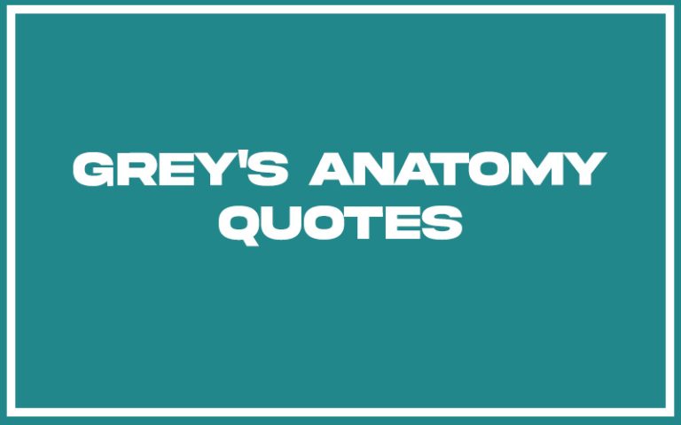 151 Best Grey's Anatomy Quotes (with Commentary) - Burning For Success