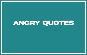 151 Best Angry Quotes (with Commentary) - Burning For Success