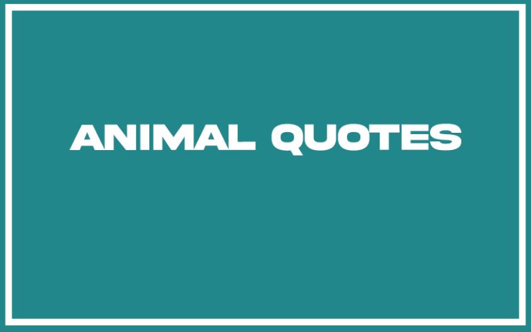 151 Best Animal Quotes (with Commentary) - Burning For Success