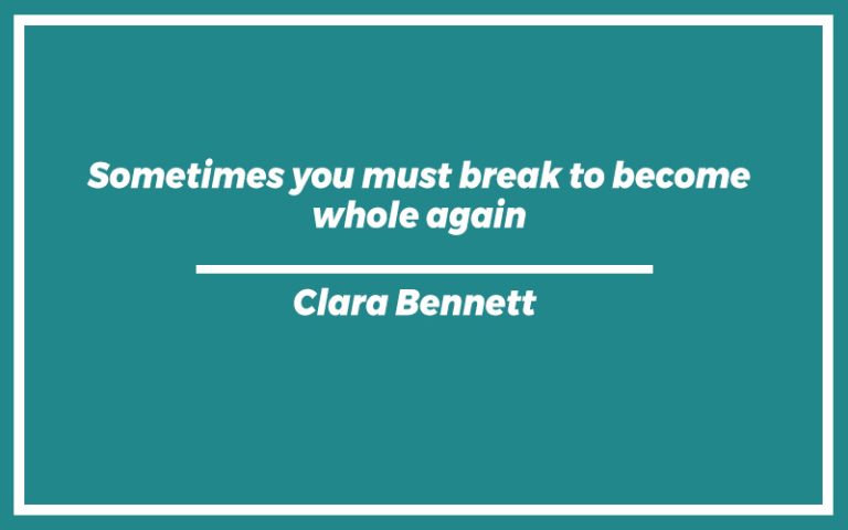 151 Best Broken Quotes (with Commentary) - Burning For Success