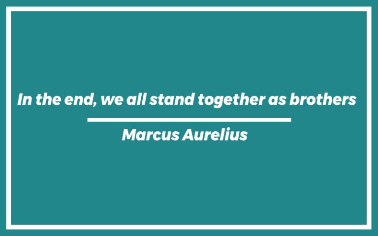 151 Best Brotherhood Quotes (with Commentary) - Burning For Success