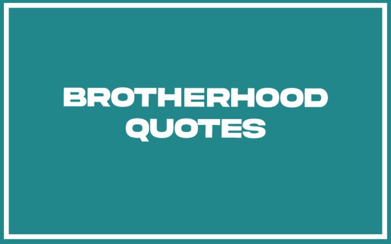 151 Best Brotherhood Quotes (with Commentary) - Burning For Success