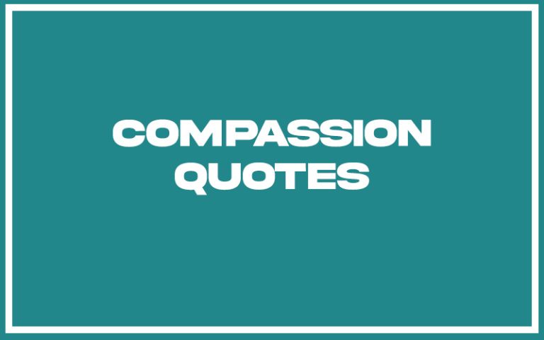 151 Best Compassion Quotes (with Commentary) - Burning For Success