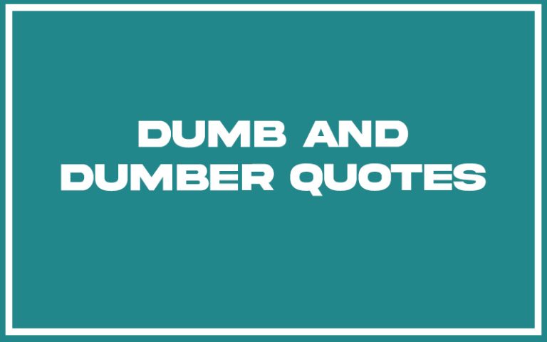 151 Best Dumb and Dumber Quotes (with Commentary) - Burning For Success