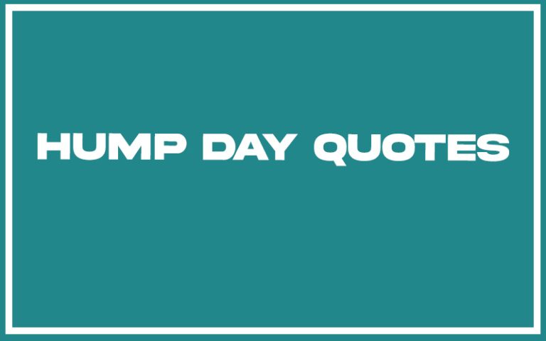 151 Best Hump Day Quotes (with Commentary) - Burning For Success