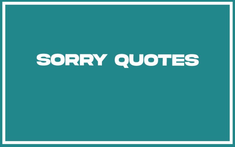 151 Best Sorry Quotes (with Commentary) - Burning For Success
