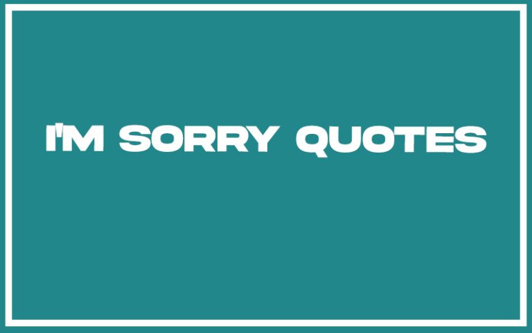 151 Best I'm Sorry Quotes (with Commentary) - Burning For Success