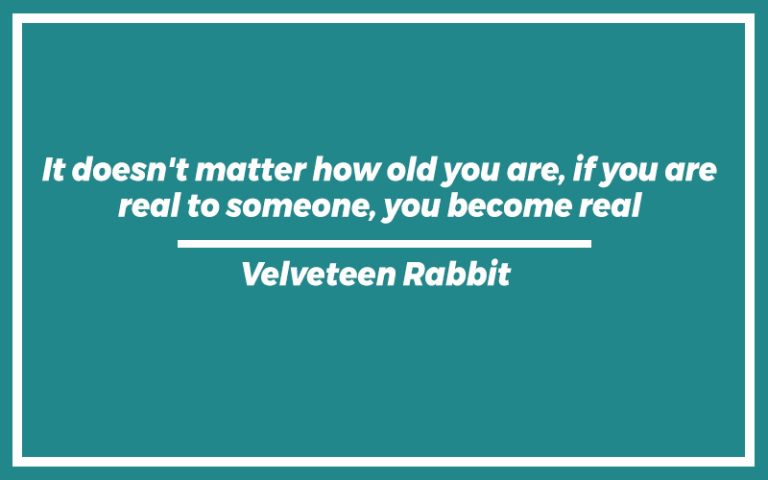 151 Best Velveteen Rabbit Quotes (with Commentary) - Burning For Success