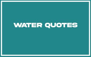 151 Best Water Quotes (with Commentary) - Burning For Success