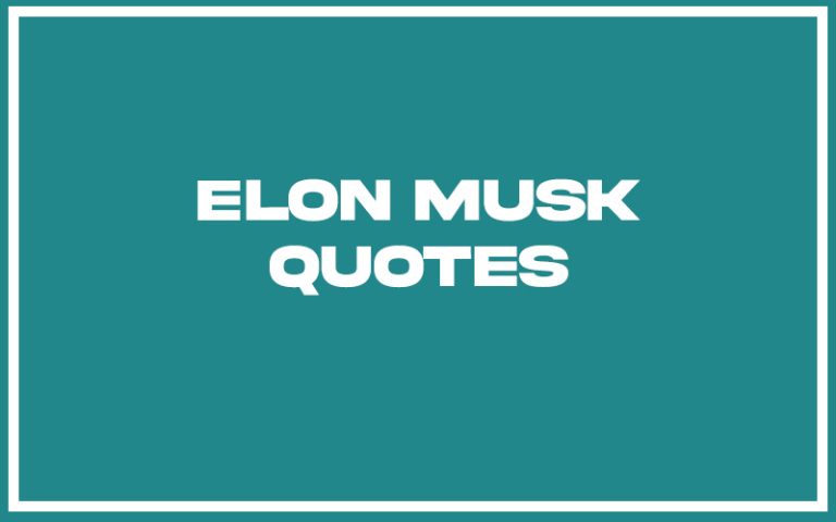 151 Best Elon Musk Quotes (with Commentary) - Burning For Success
