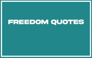 151 Best Freedom Quotes (with Commentary) - Burning For Success