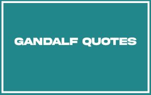 151 Best Gandalf Quotes (with Commentary) - Burning For Success