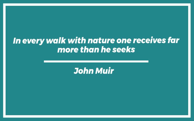 151 Best John Muir Quotes (with Commentary) - Burning For Success