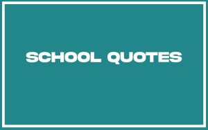 151 Best School Quotes (with Commentary) - Burning For Success