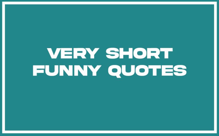 151 Best Very Short Funny Quotes (with Commentary) - Burning For Success